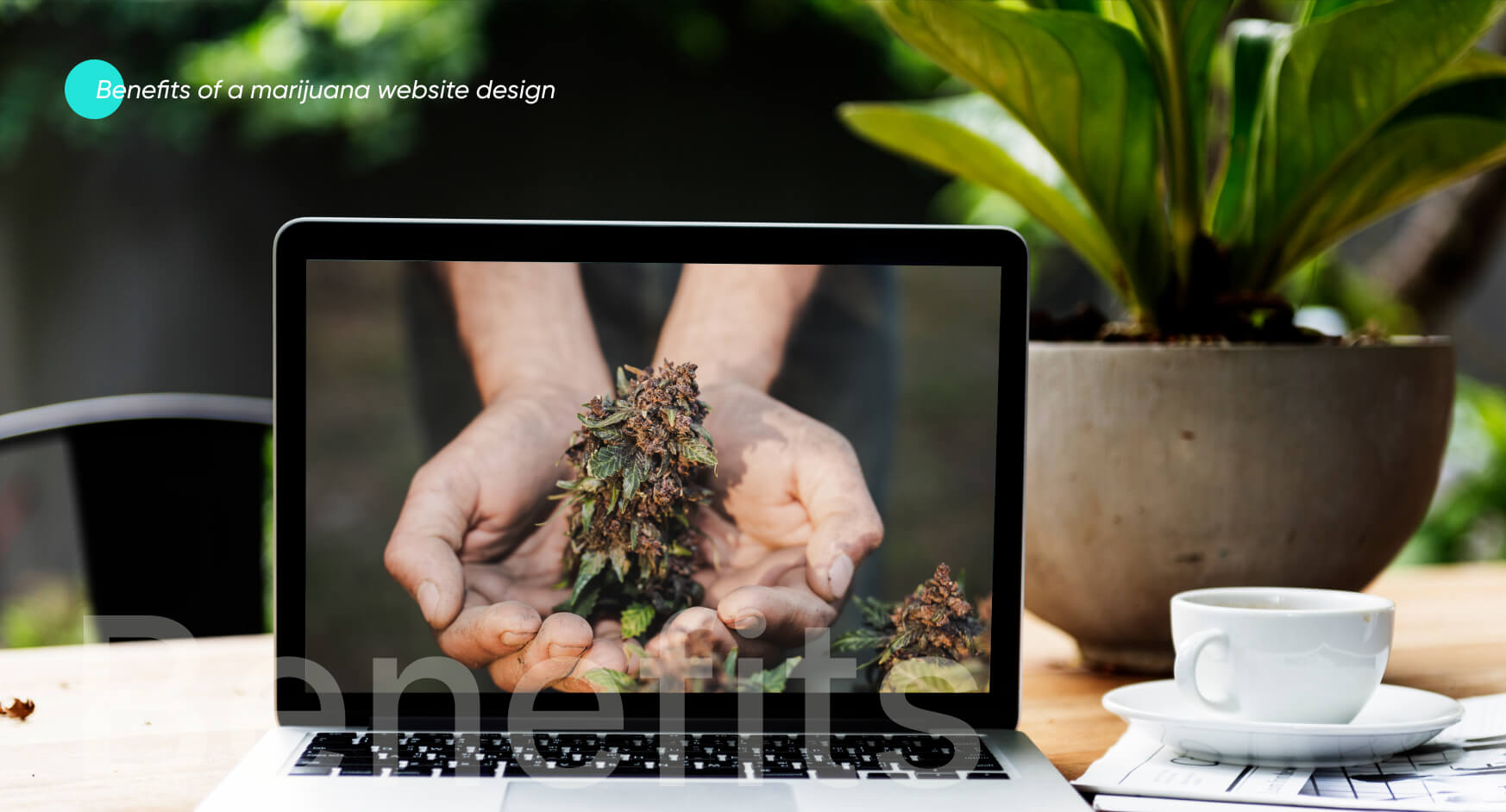 Crafting User-Friendly and Innovative Marijuana Website Design