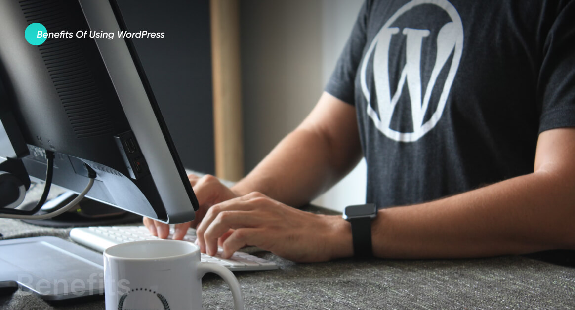 16 Benefits of Using WordPress for Your Business - Coding Pixel